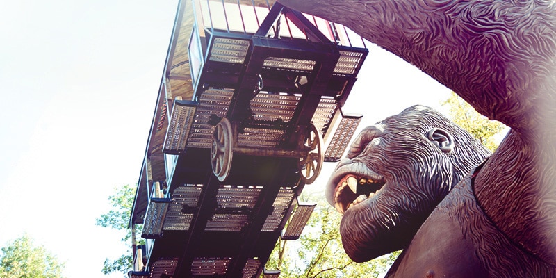 King Kong in Bobbejaanland | Pretpark Vergelijker.nl