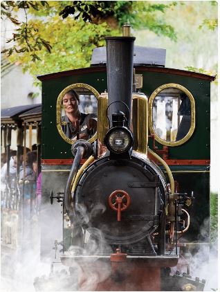 Stoomtrein in Efteling | Pretpark Vergelijker.nl